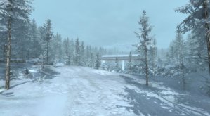 Released - Rally Forest (Now with winter version!) | BeamNG