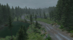 Rally Forest | BeamNG